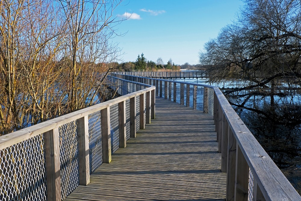 Svēte Floodplain Meadow Boardwalks - gotobaltic.com