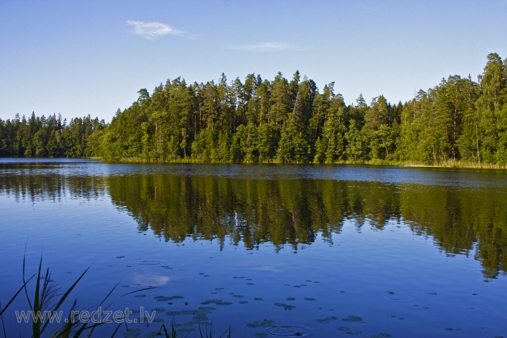 Mežmuižas ezers - Ezeri, Rendas pagasts - redzet.eu
