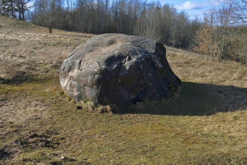 Stone, great trees - gotobaltic.com