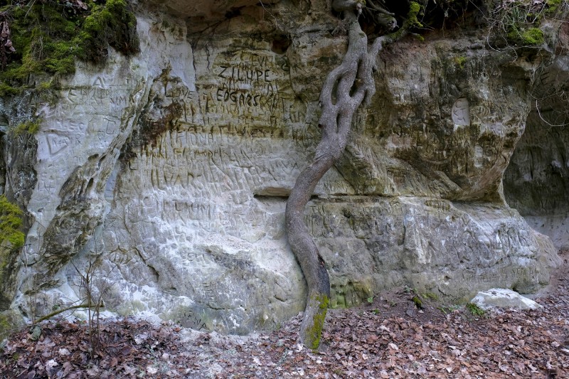 Outcrop, steep coast, cave - gotobaltic.com