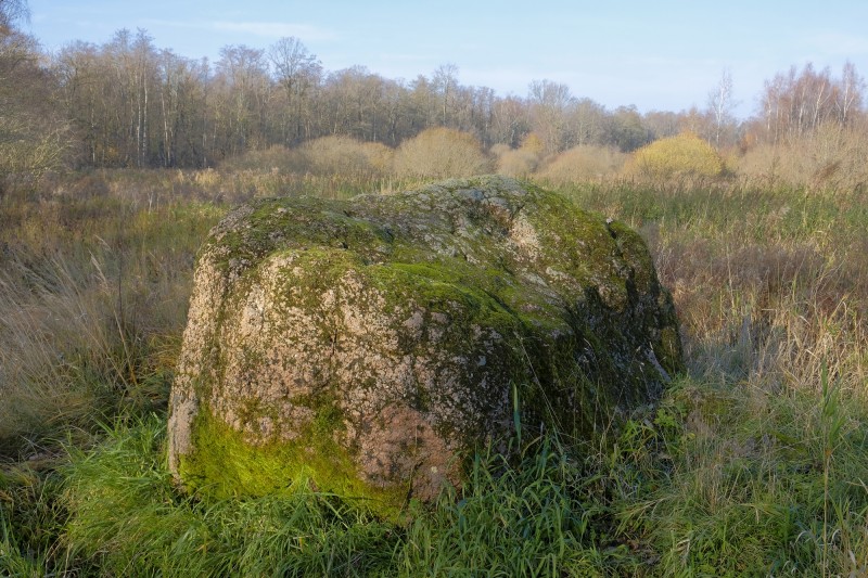 Stone, great trees - gotobaltic.com