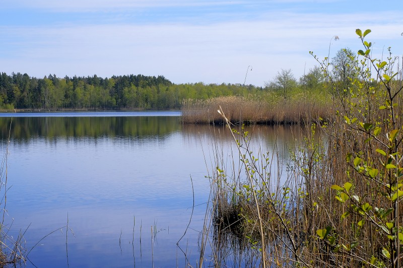 Ezeri - gotobaltic.com