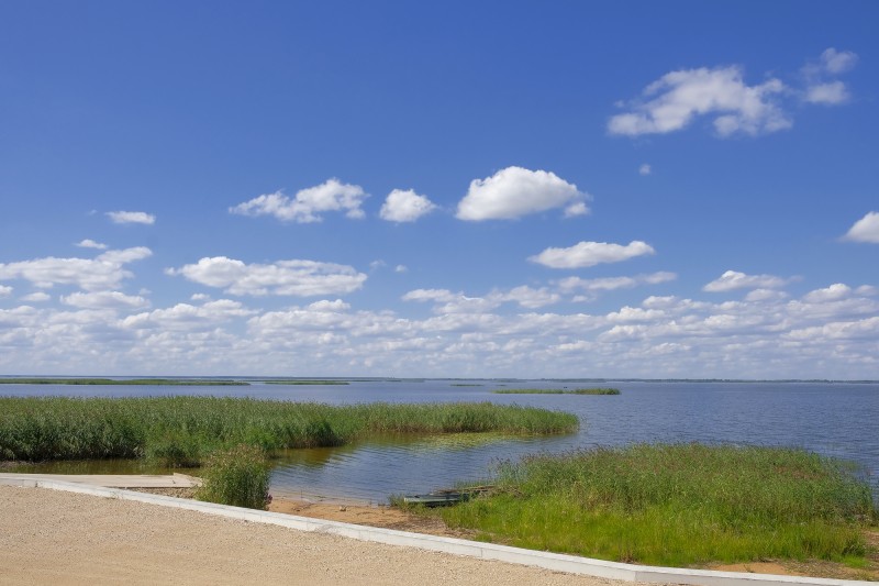 gotobaltic.com